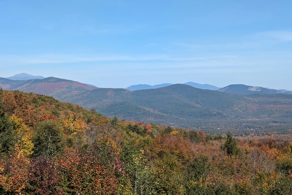 Virginia's Mobile Wine Guide - Discover Virginia Wine Country