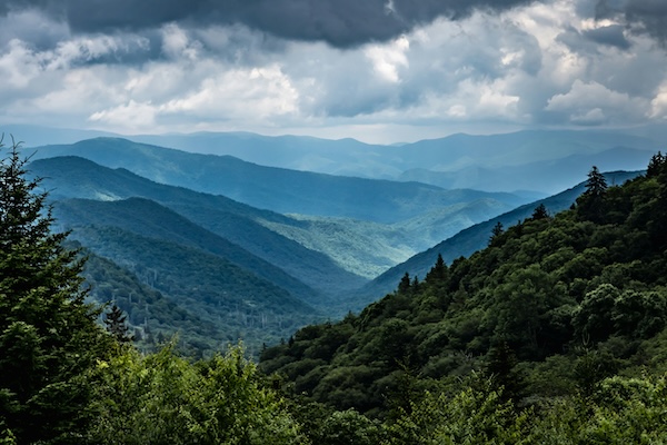 Virginia's Mobile Wine Guide - Discover Virginia Wine Country